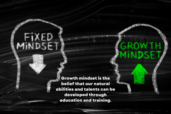 The Growth Mindset for Personal Success: An Introduction - anso